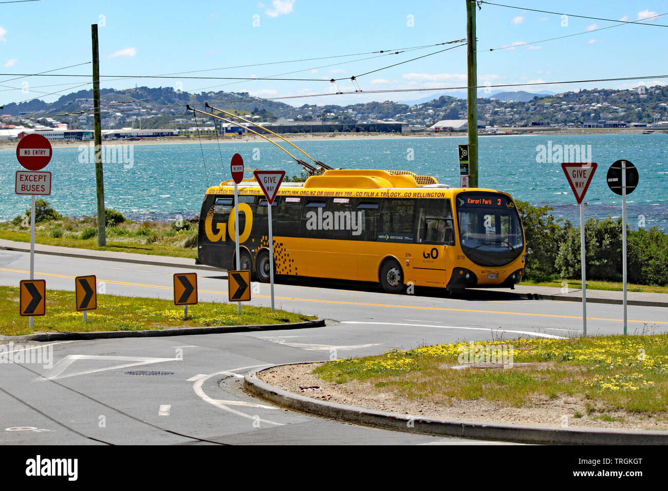 Nz bus hi-res stock photography and images - Alamy