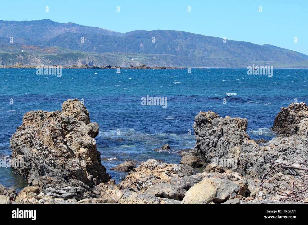 Lyall bay new zealand hi-res stock photography and images - Alamy