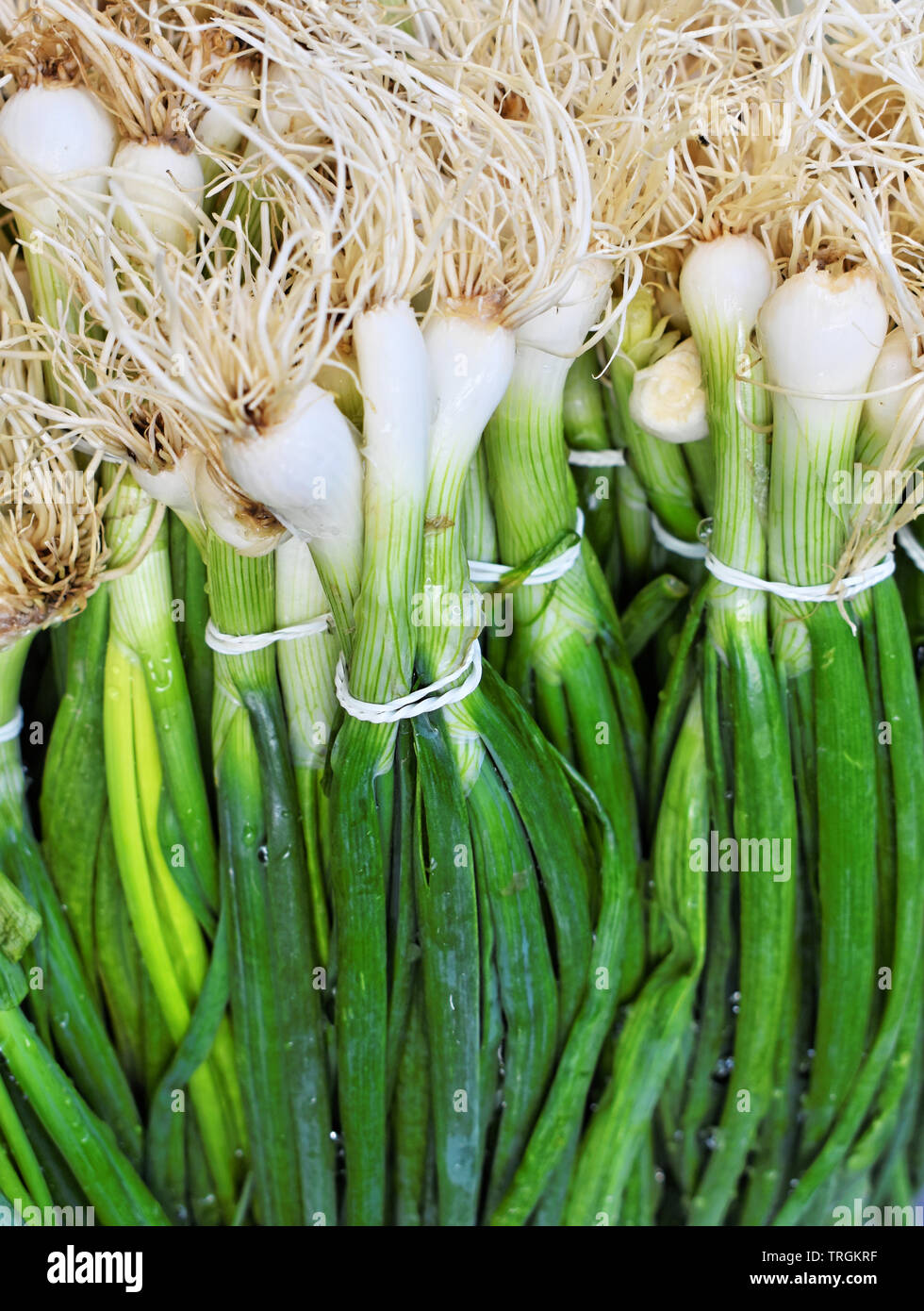 Bunch of fresh spring onion at the marketplace Stock Photo - Alamy