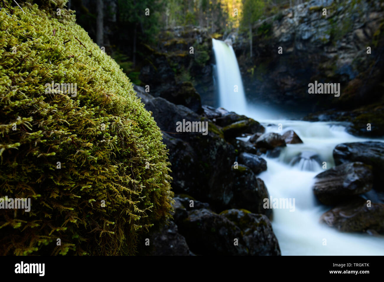 Sutherland Falls near Revelstoke, British Columbia, Canada, a popular ...