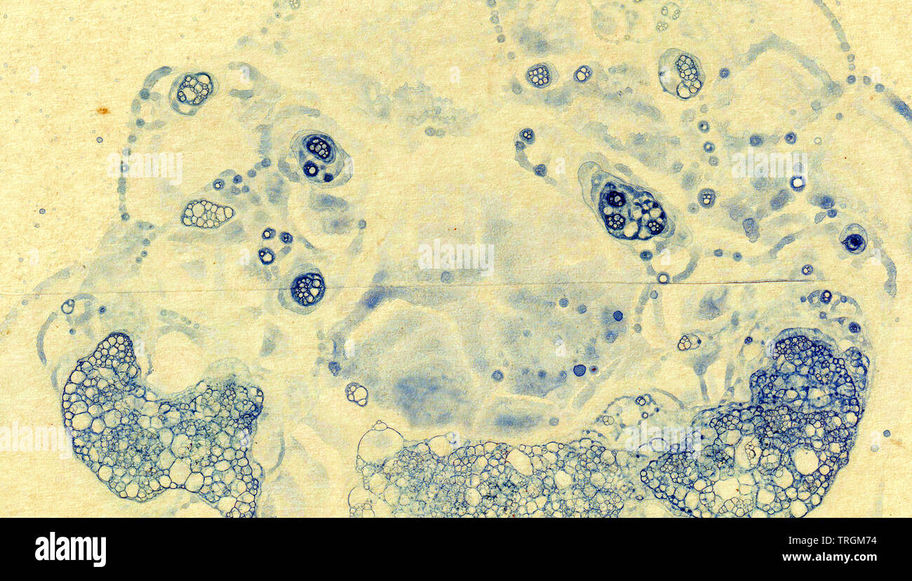 Watercolor futuristic soap background. Magic colorful pattern. Universe ...