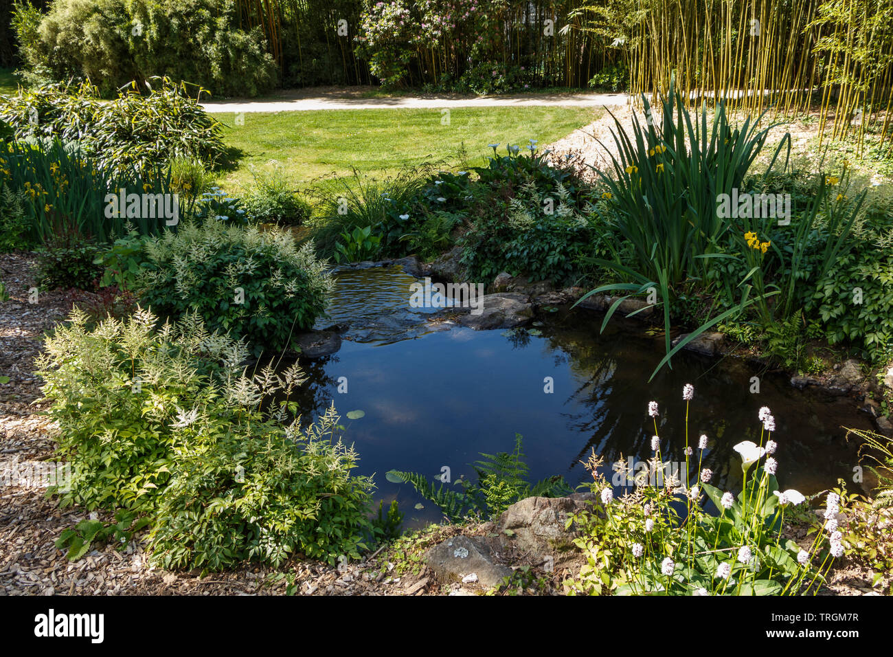 River in a park during spring Stock Photo - Alamy