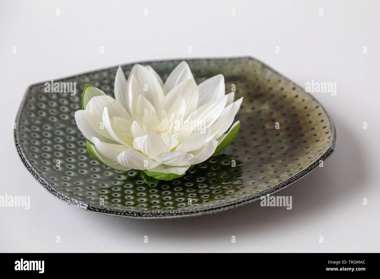 white lotus flower with a green plate on a white background Stock Photo ...