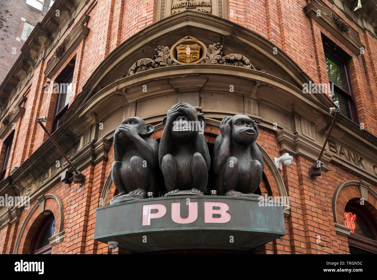 Say no evil monkey hi-res stock photography and images - Alamy