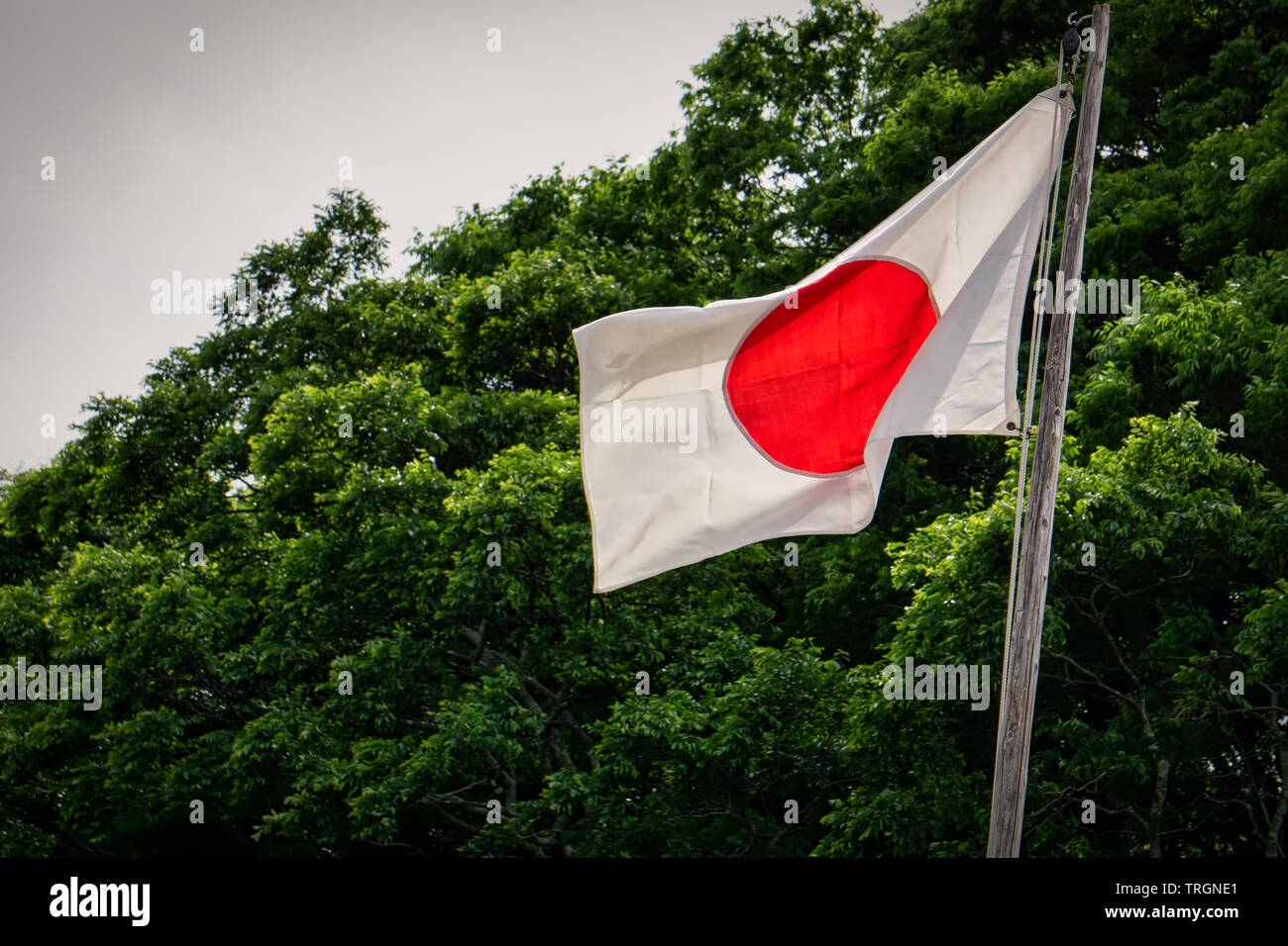 A Japanese flag flies in the wind at Shimoda, Japan Stock Photo - Alamy