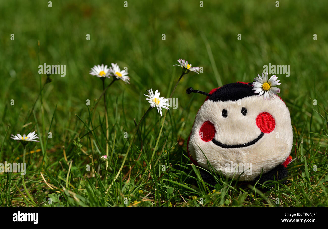 Smily shape hi-res stock photography and images - Alamy