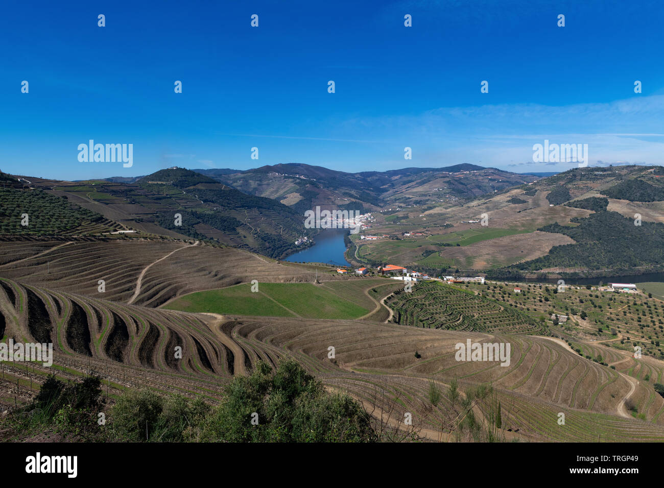 View of Douro Valley with the Pinhao village, terraced vineyards and ...