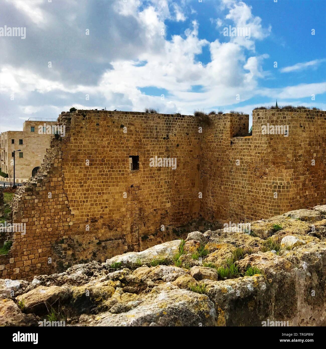 old city of akko /acre in northern Israel Stock Photo - Alamy