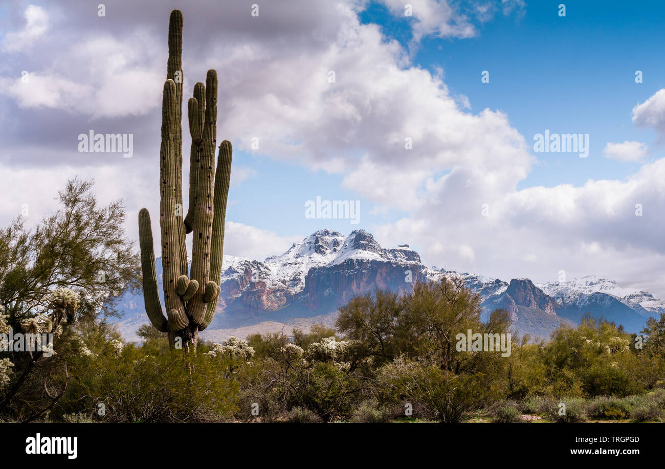 snow in the desert Stock Photo - Alamy