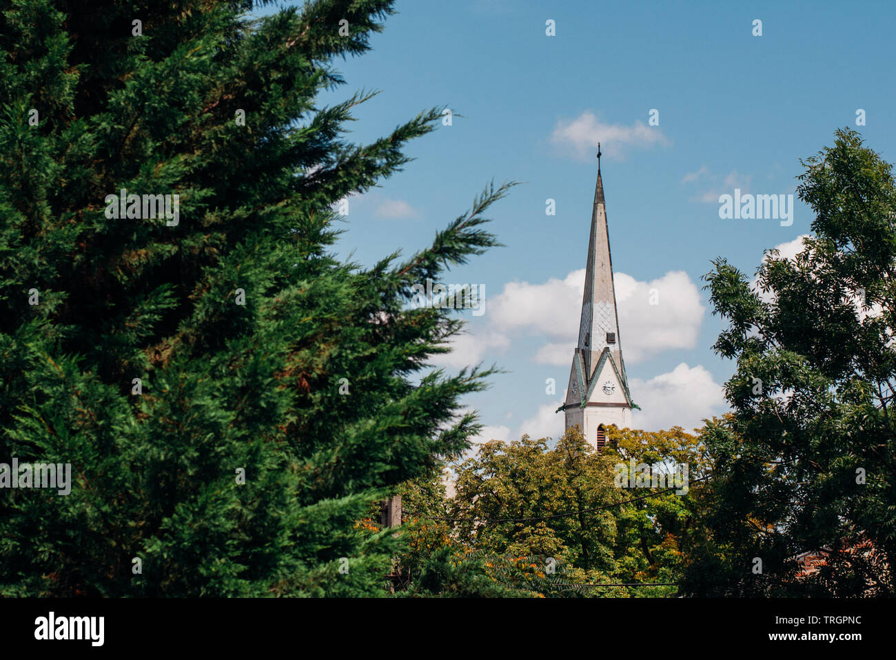 Greenery on architecture hi-res stock photography and images - Alamy