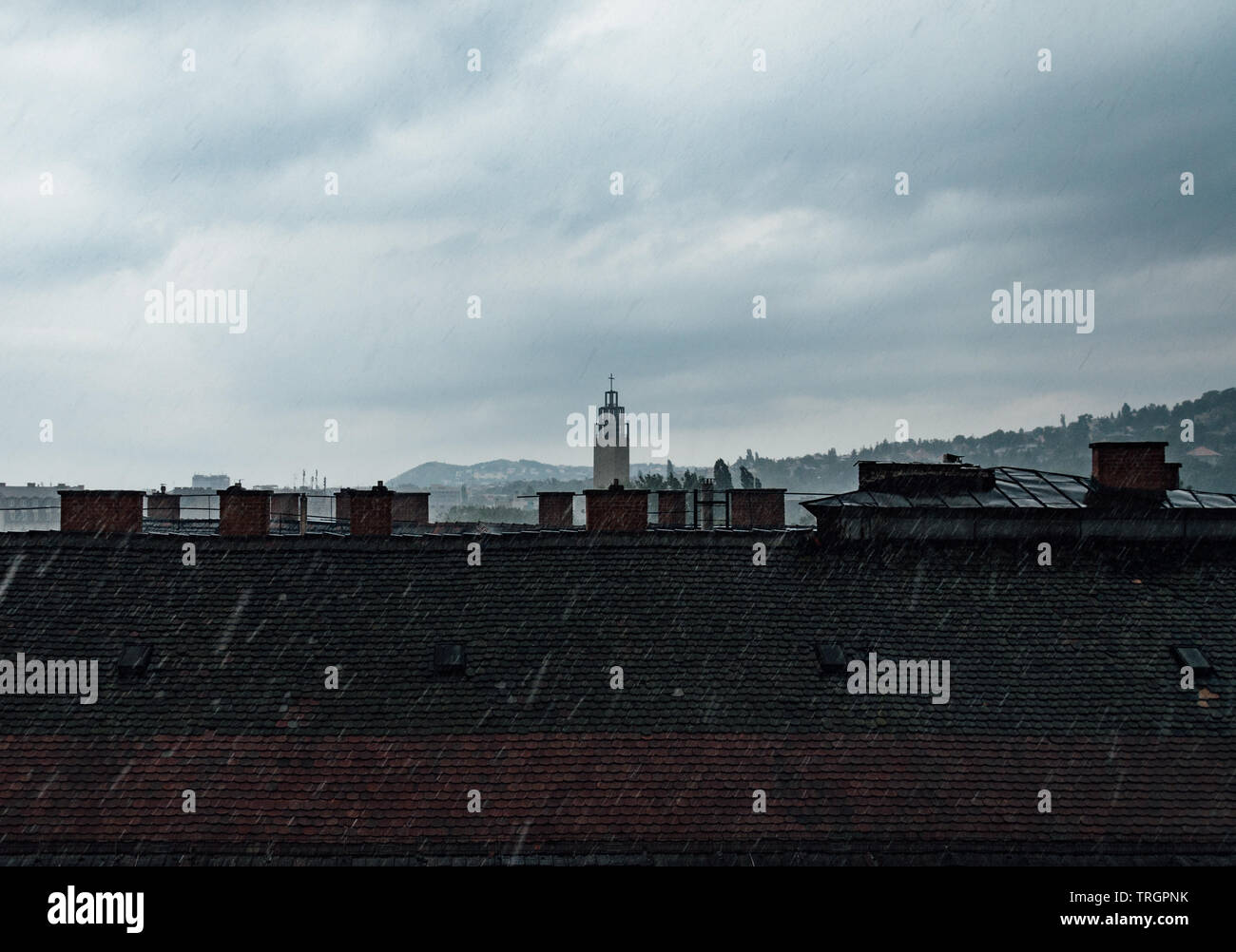 Roof in Budapest in heavy rain Stock Photo - Alamy