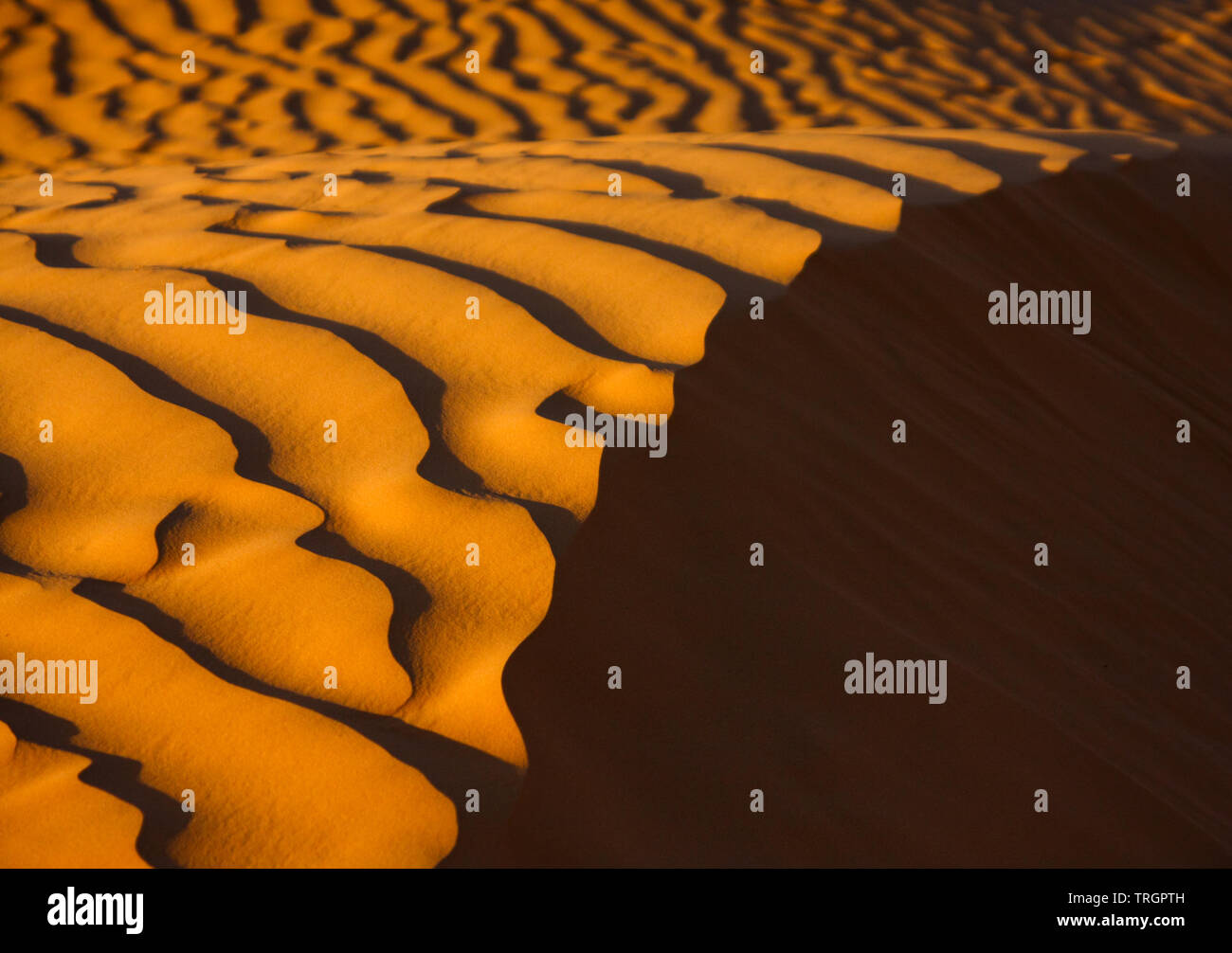 Sunshine on ripples in the sand provide a distinct pattern. Sahara ...