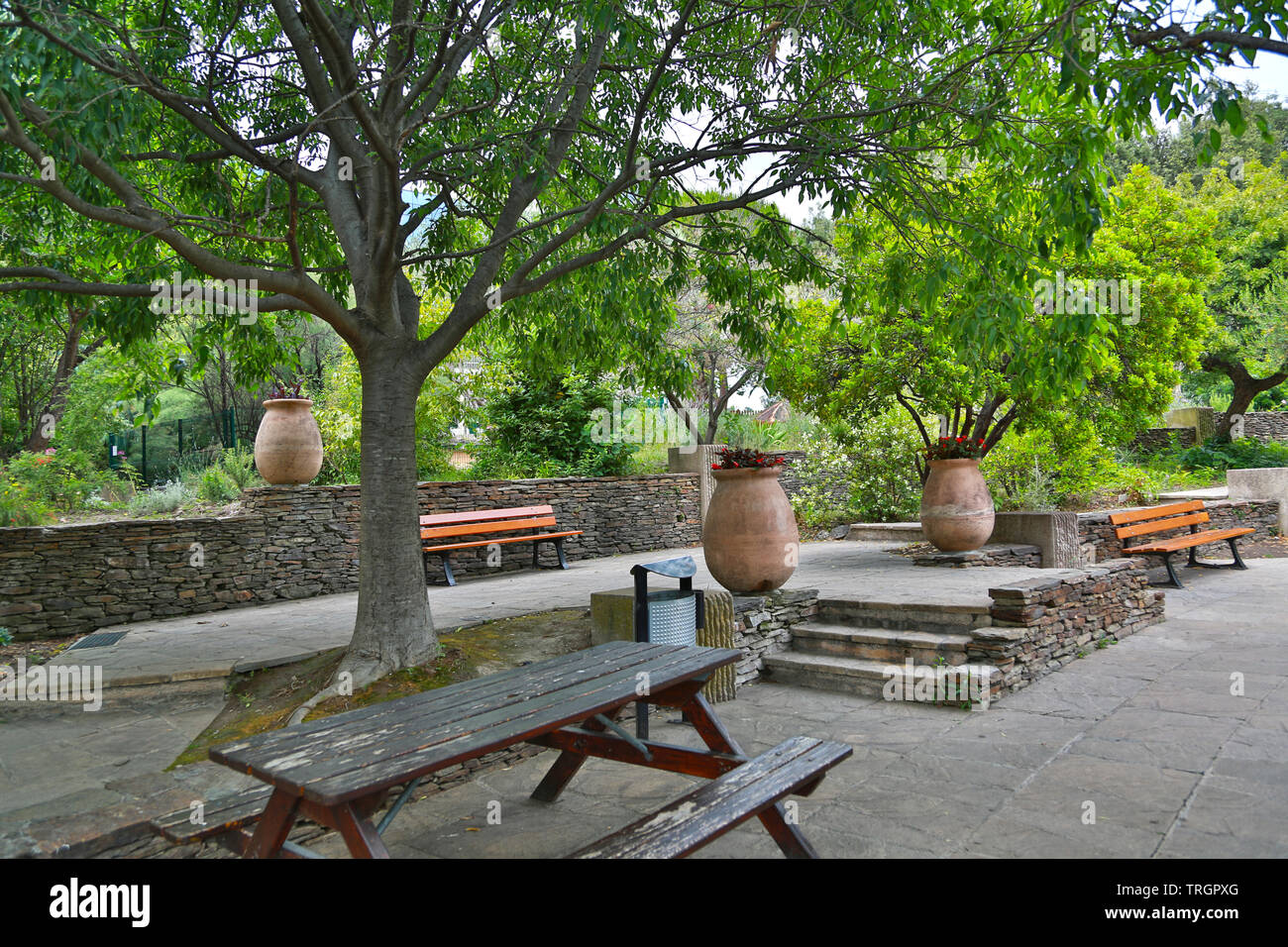 Phoenix parc floral hi-res stock photography and images - Alamy