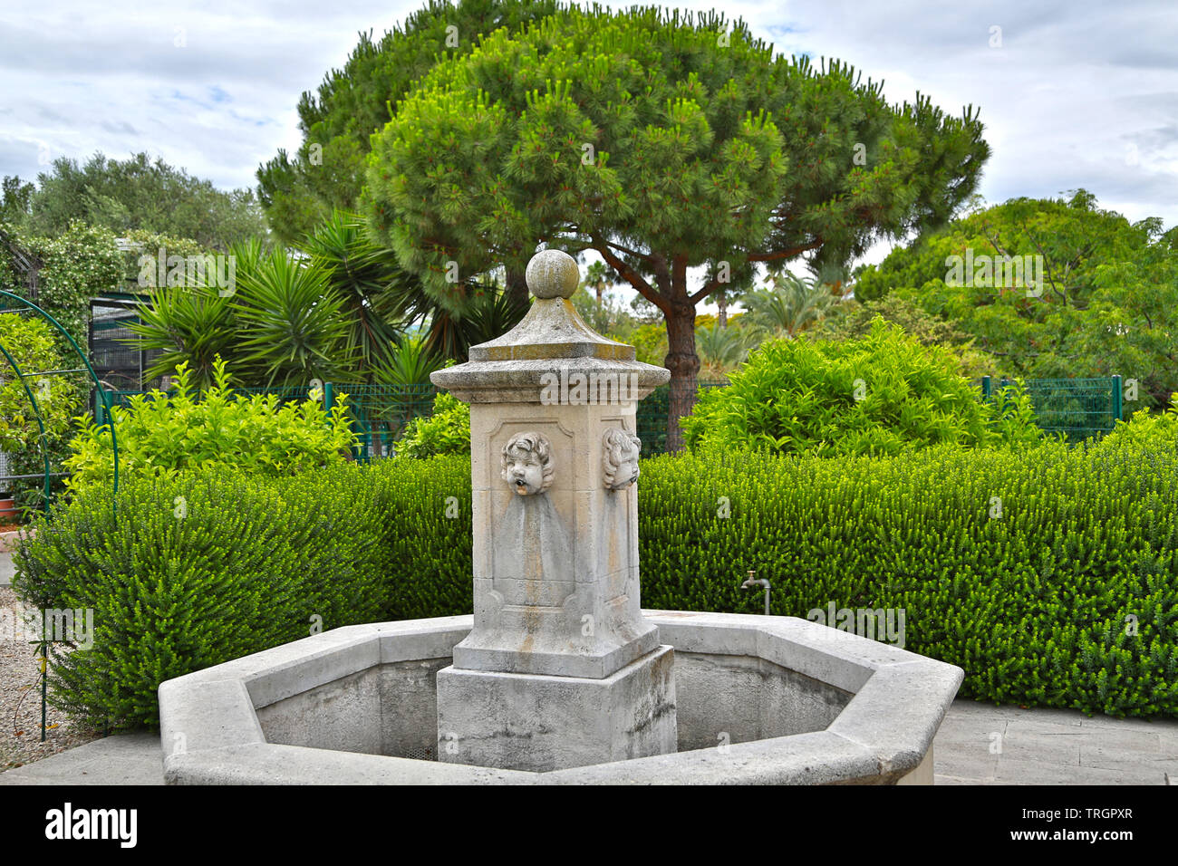Parc phoenix hi-res stock photography and images - Alamy