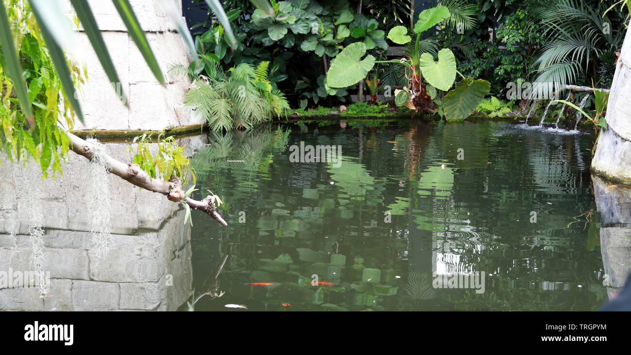 Nice, France - June 15, 2014: Parc Phoenix, botanical and zoo garden in ...