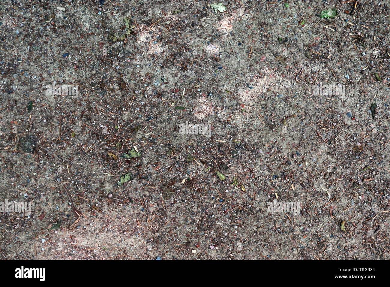 Detailed surface views on different forest grounds with leaves branches ...