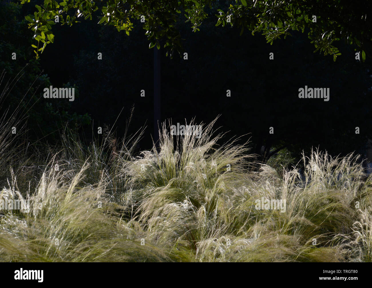 Range grass and landscaping Stock Photo - Alamy