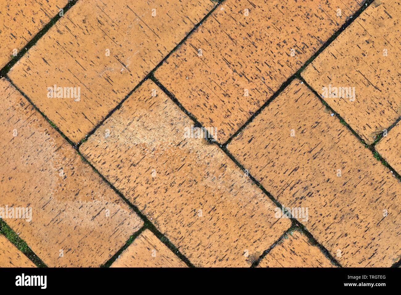 Close up view on different colorful pavement tiles in high resolution ...