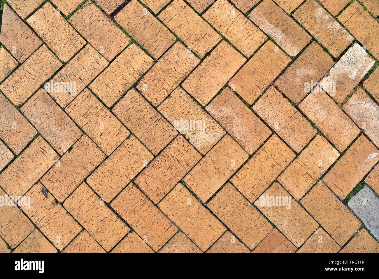 Close up view on different colorful pavement tiles in high resolution ...