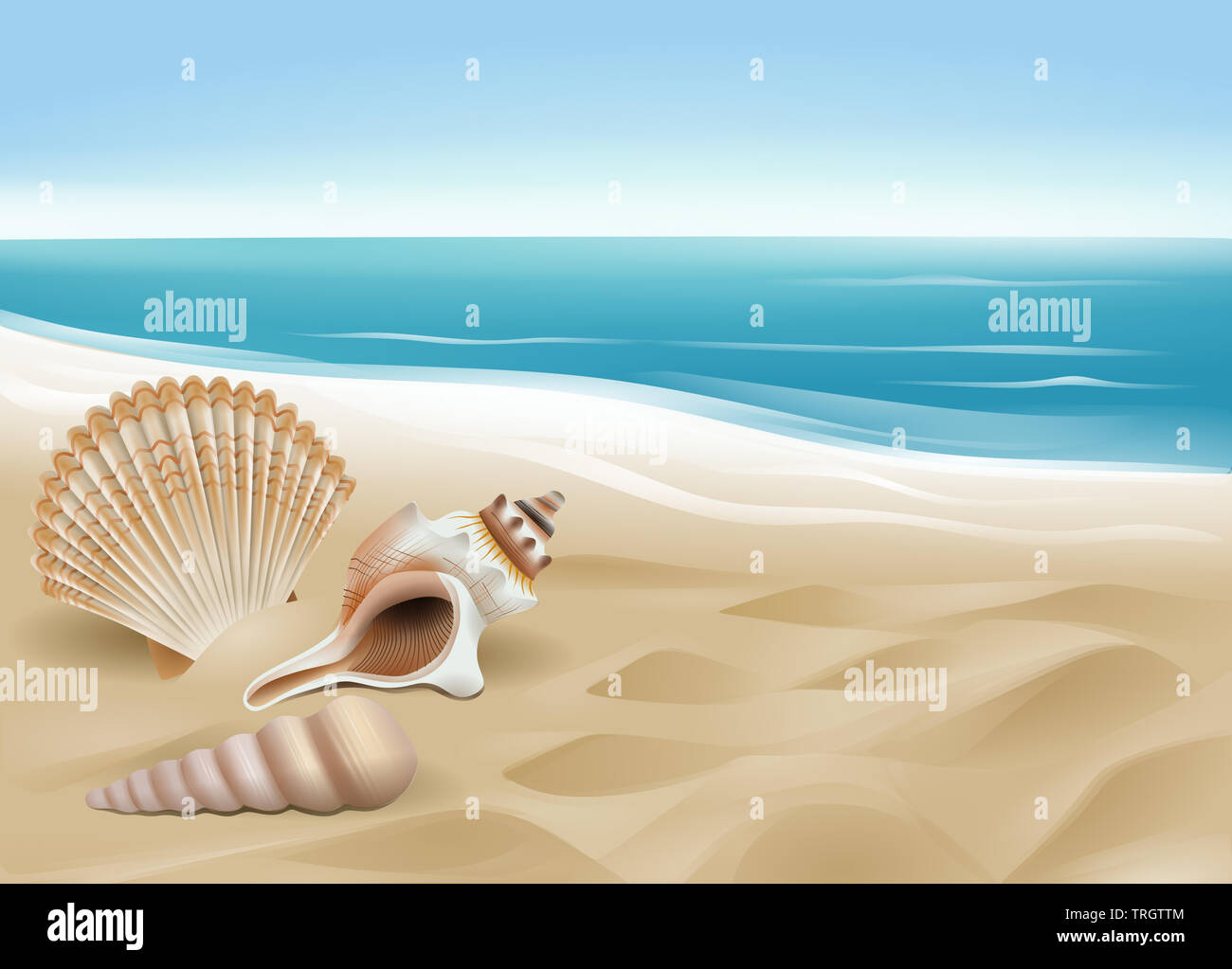 shells on the beach illustration Stock Photo - Alamy