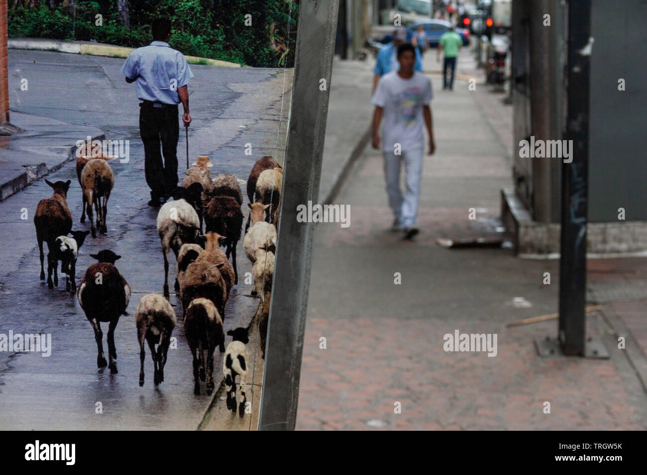 Caracas,Venezuela. People walking through the streets of the Colonial ...