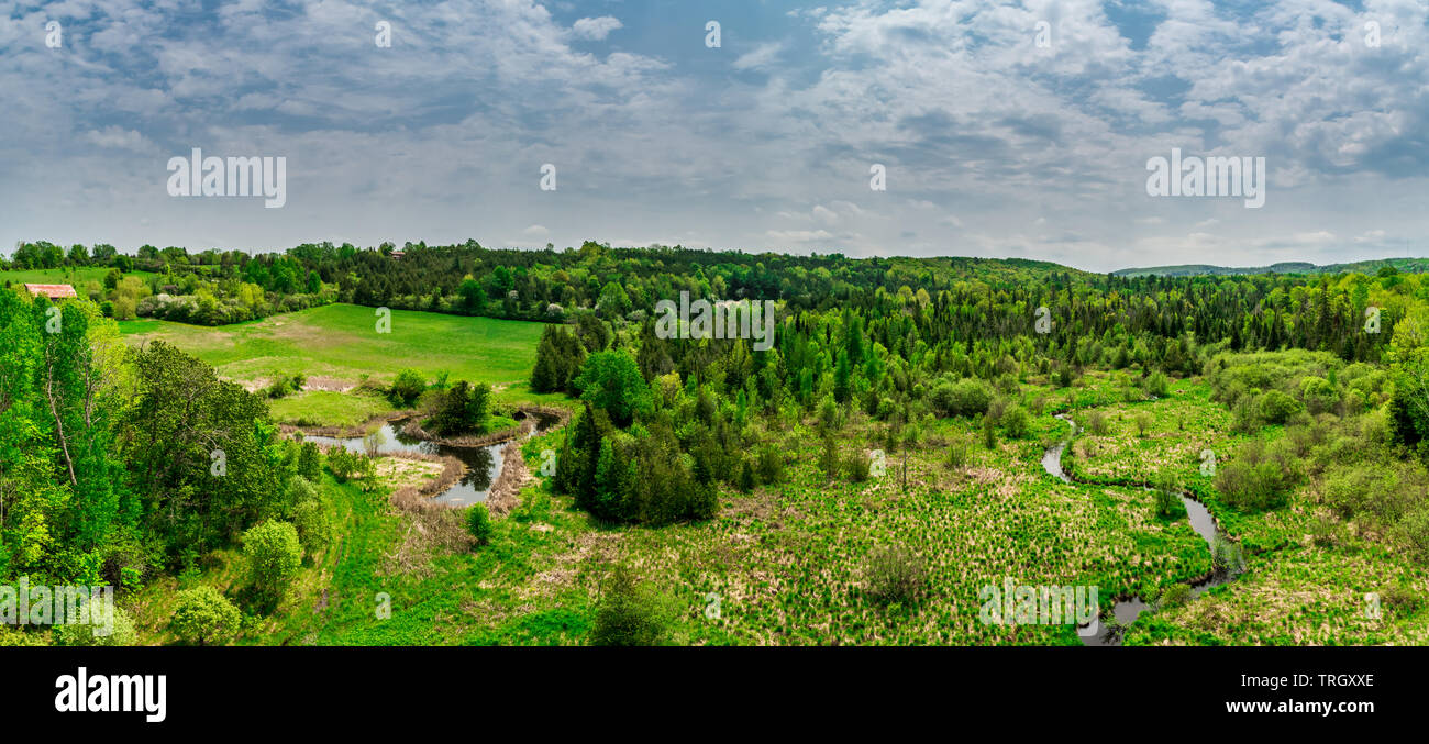Wide angle landscape view of Valley in spring showing green forest ...