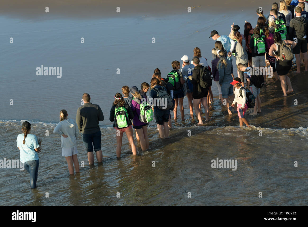 Child wading in water hi-res stock photography and images - Alamy