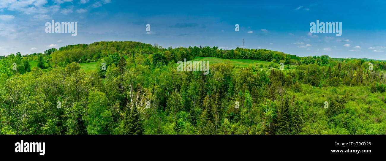 Wide angle landscape view of Valley in spring showing green forest ...