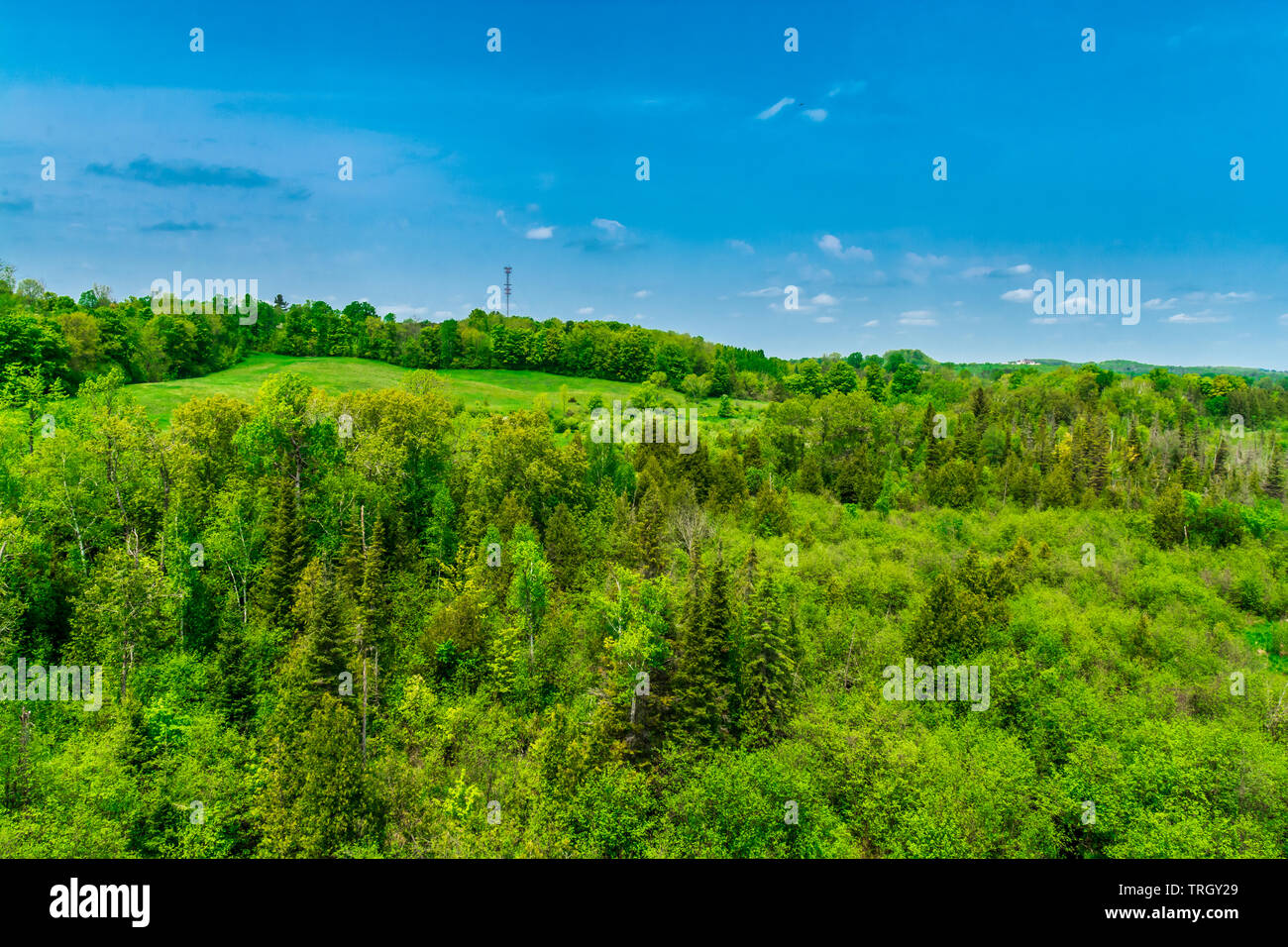 Wide angle landscape view of Valley in spring showing green forest ...