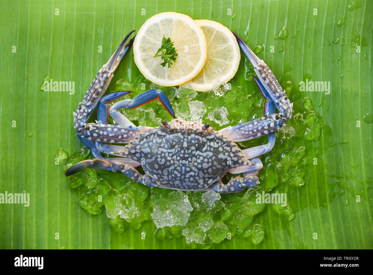 Lemon crab - industrialdarelo