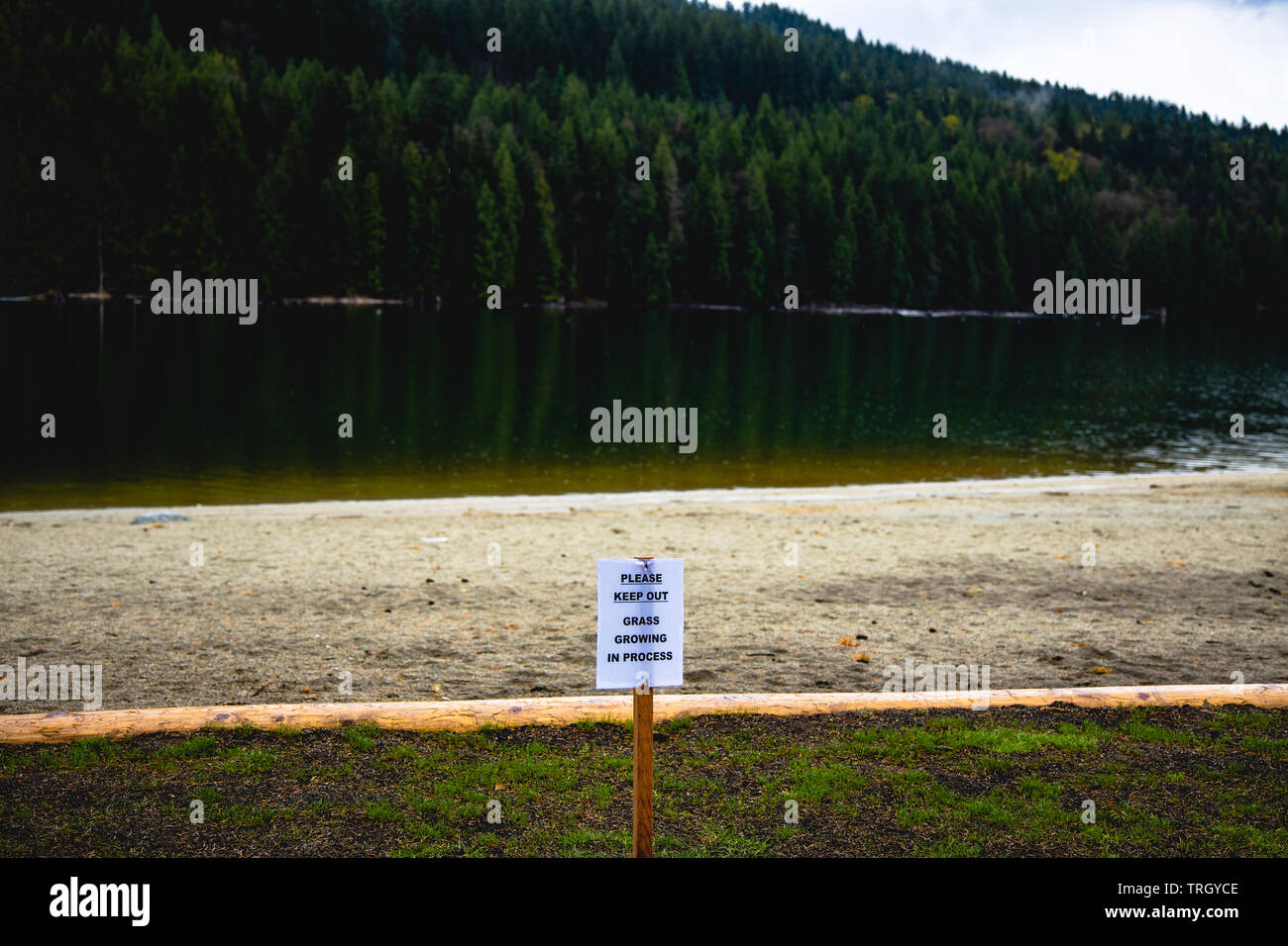 Signage of new grass growing along lake Stock Photo - Alamy