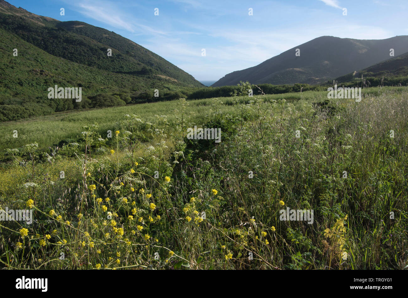 The hike to Tennessee Valley Beach takes visitors through Tennessee ...