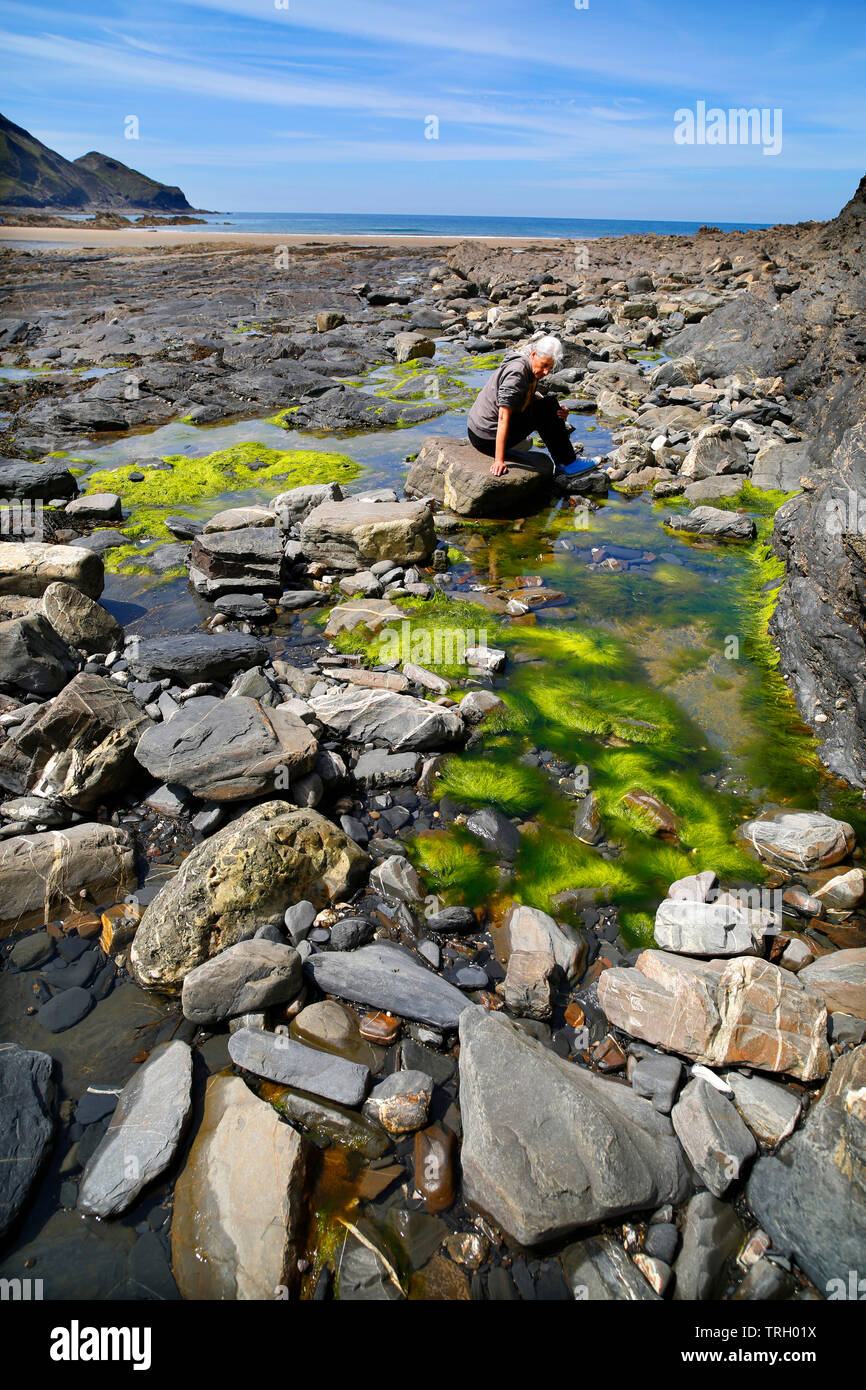 Exploring Rockpools High Resolution Stock Photography and Images - Alamy
