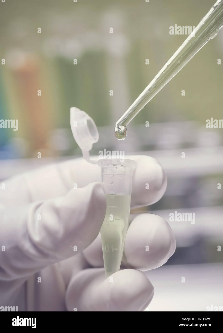 Scientist dropping liquid test tubes hi-res stock photography and ...