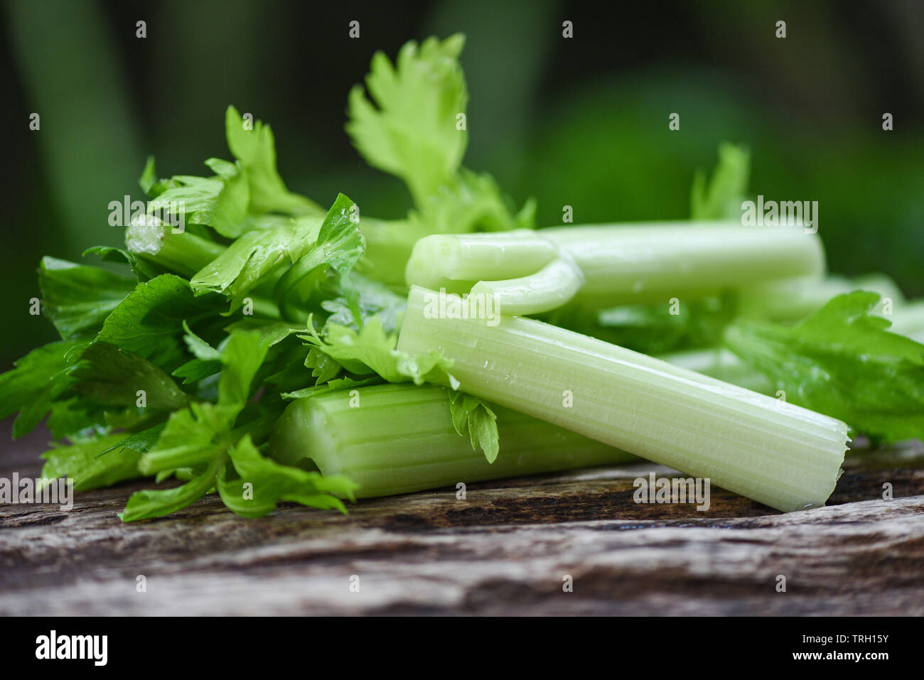 Fresh Celery vegetable / Bunch of celery stalk with leaves on wood and ...