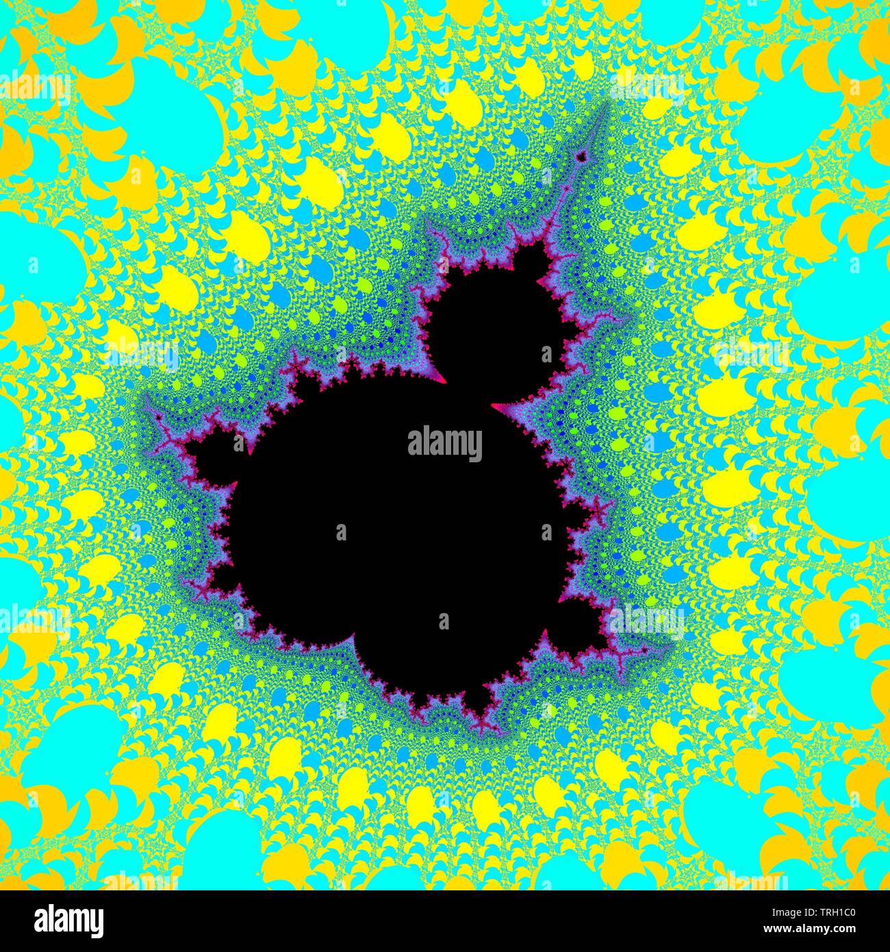 Computer graphics image of the beautiful and fascinating fractal ...