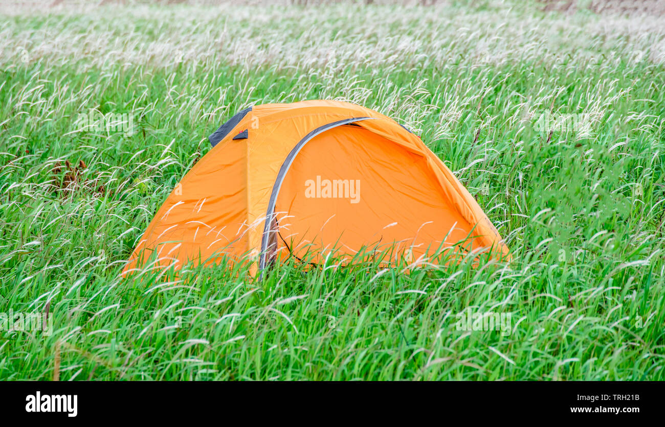 Camping tent on grass meadow landscape green field Stock Photo - Alamy