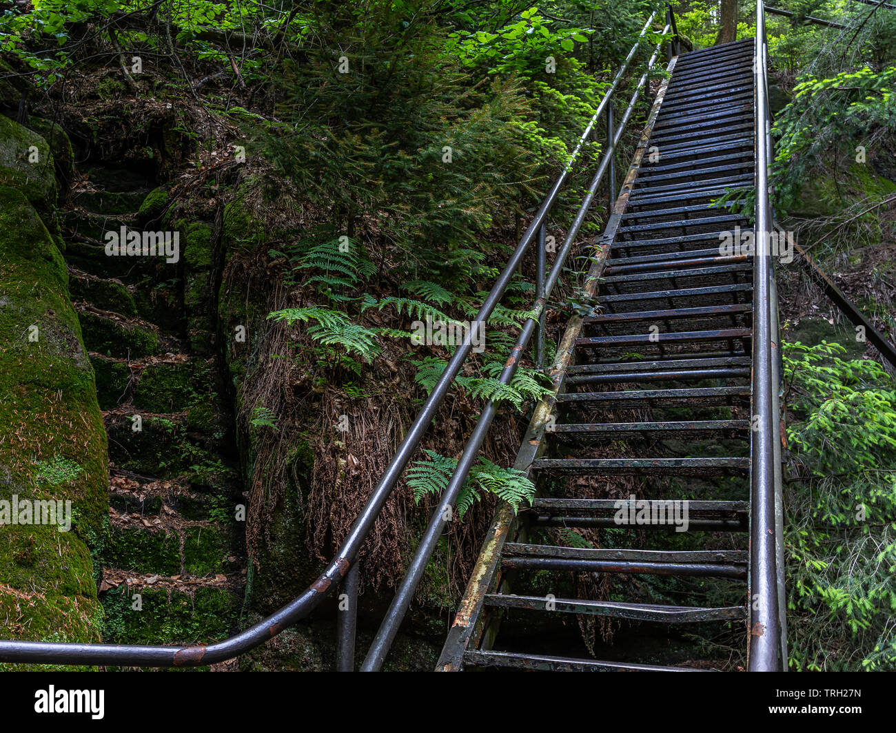 old stone and new iron stairway on trail to altendorf from kirnitzsch ...