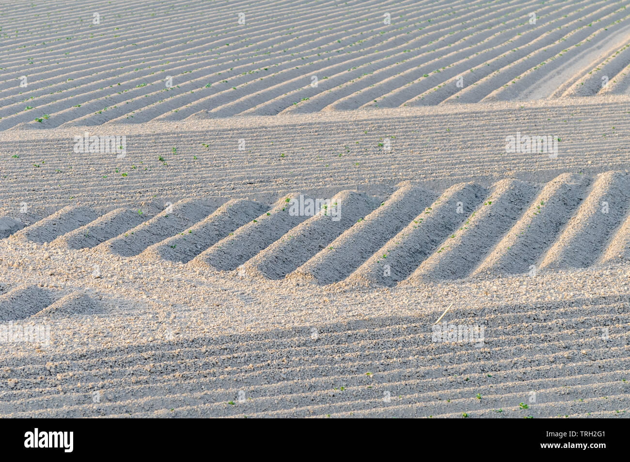 Soil lines hi-res stock photography and images - Alamy