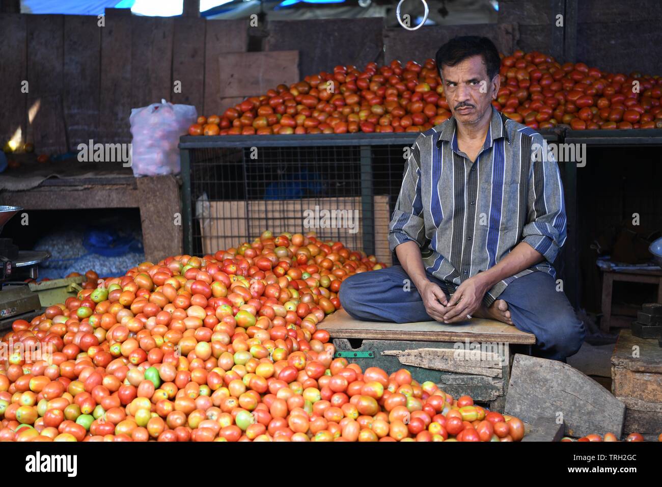 Tomato seller at Devaraja Market in Mysore, India Stock Photo - Alamy