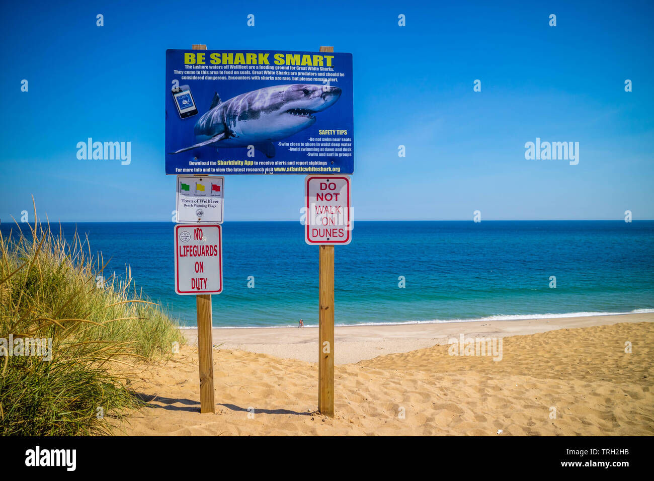 Cape Cod National Seashore, MA, USA - Sept 5, 2018: A shark advisory ...