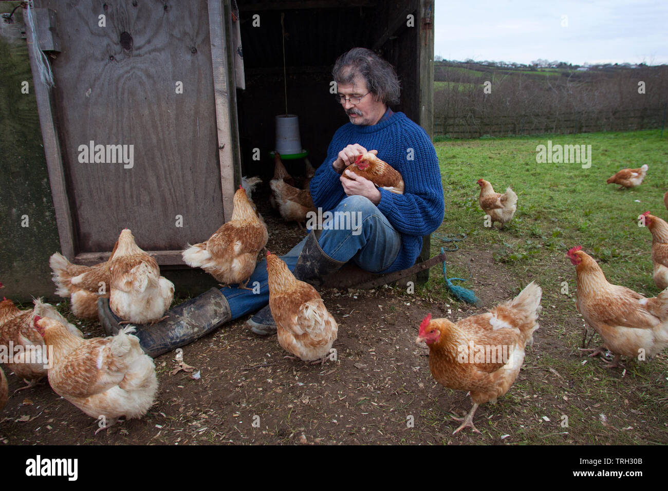 Organic chicken farmer Ritchie Riggs on his Devon farm Stock Photo - Alamy
