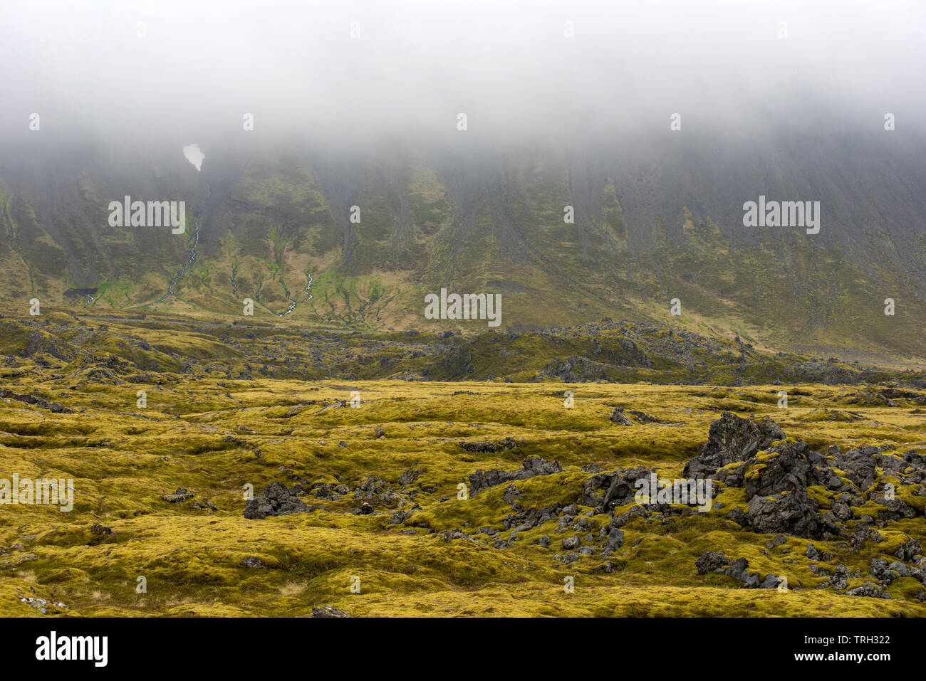 Icelandic mossy rocky barren volcanic hi-res stock photography and ...