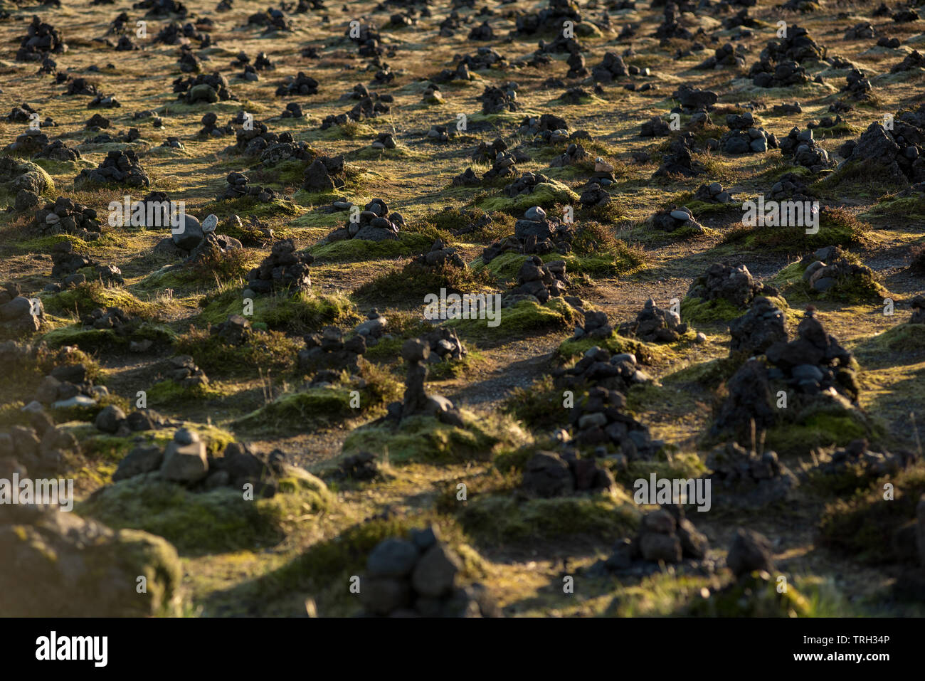 Traditional cairns made of stones on a lava ridge, Laufskalavarda ...