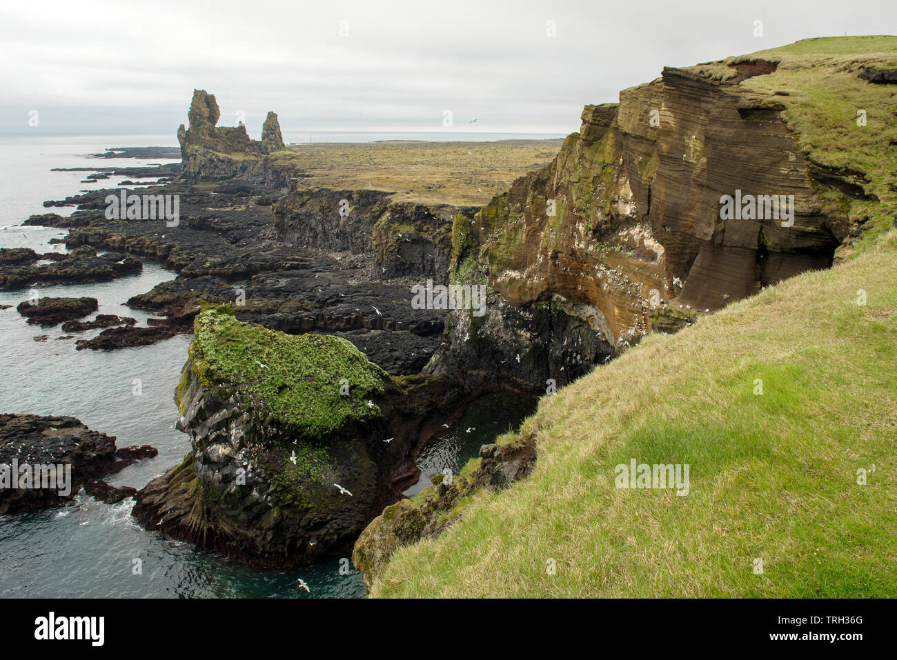 Londrangar Basalt Cliffs in Iceland, Snaefellsnes Peninsula on the ...