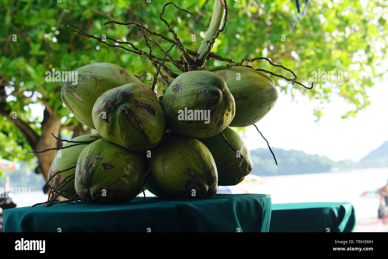 coconuts on the beach for sale Stock Photo - Alamy