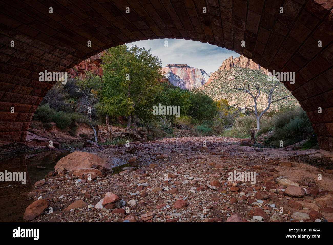 Zion bridge hi-res stock photography and images - Alamy
