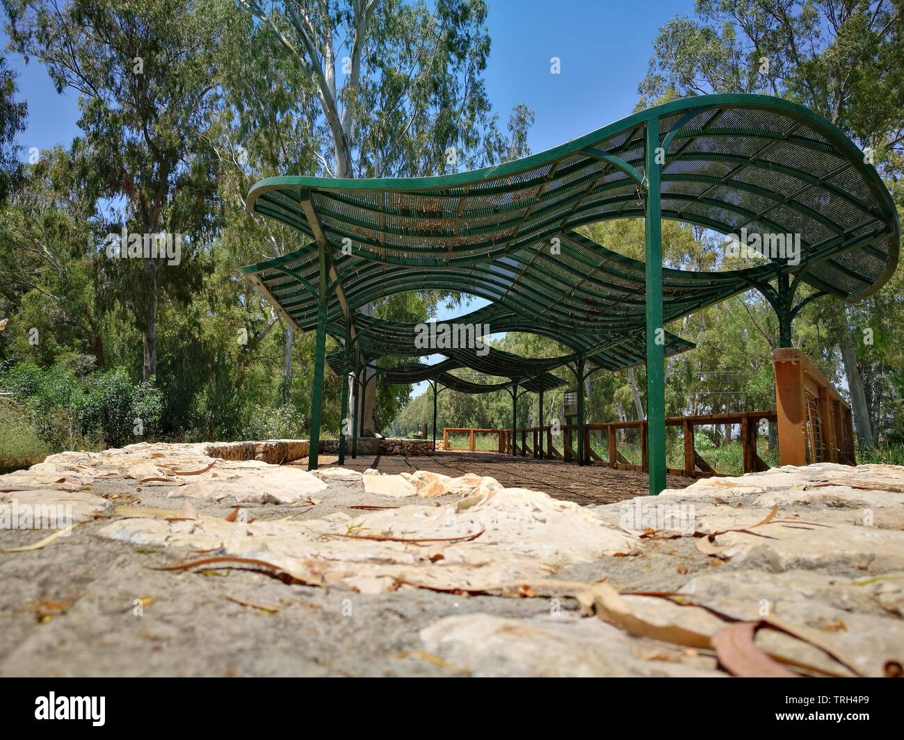 a beautiful resting place in the middle of the local nature reserve ...