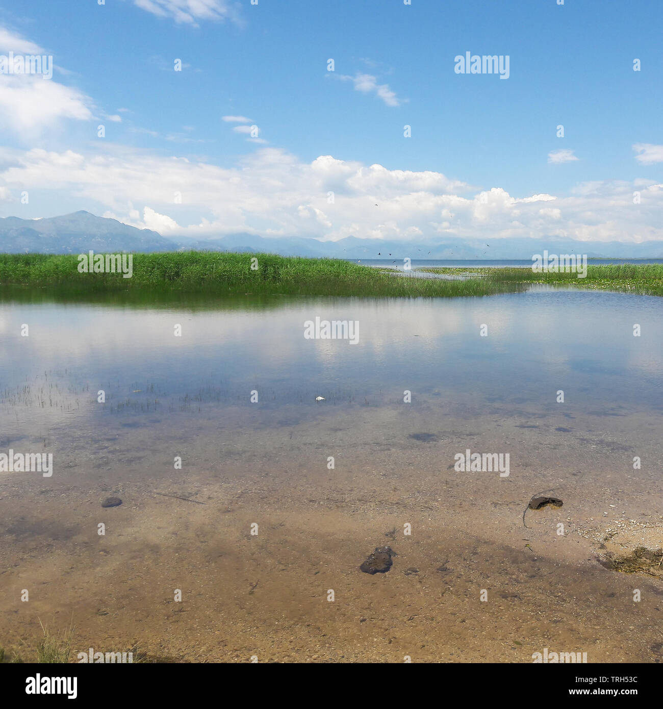 Paradisiac destination hi-res stock photography and images - Alamy