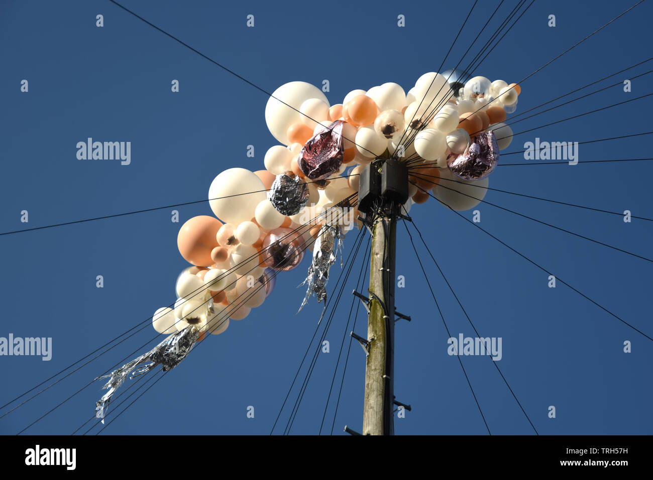 Telephone pole line in hi-res stock photography and images - Alamy